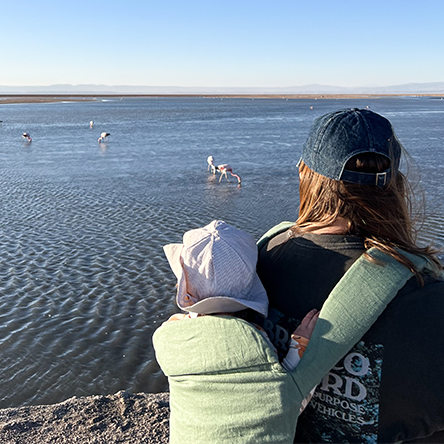 Danielle K. Muñoz - Fitch, Even, Tabin & Flannery